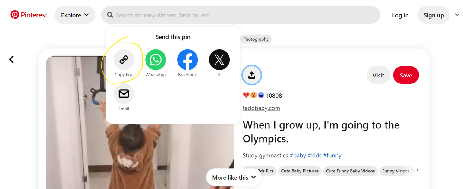 How To Save Videos From Pinterest To Your Gallery - SavePin